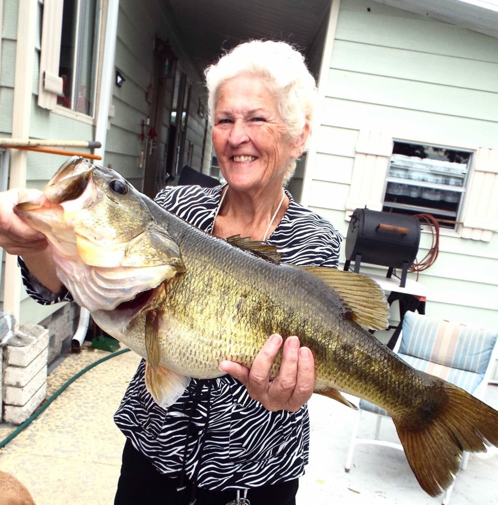 Elizabeth L. Biddle-Bruno - Millennium Cremation Service